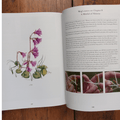 Knitting Around by Elizabeth Zimmermann – The Woolly Thistle