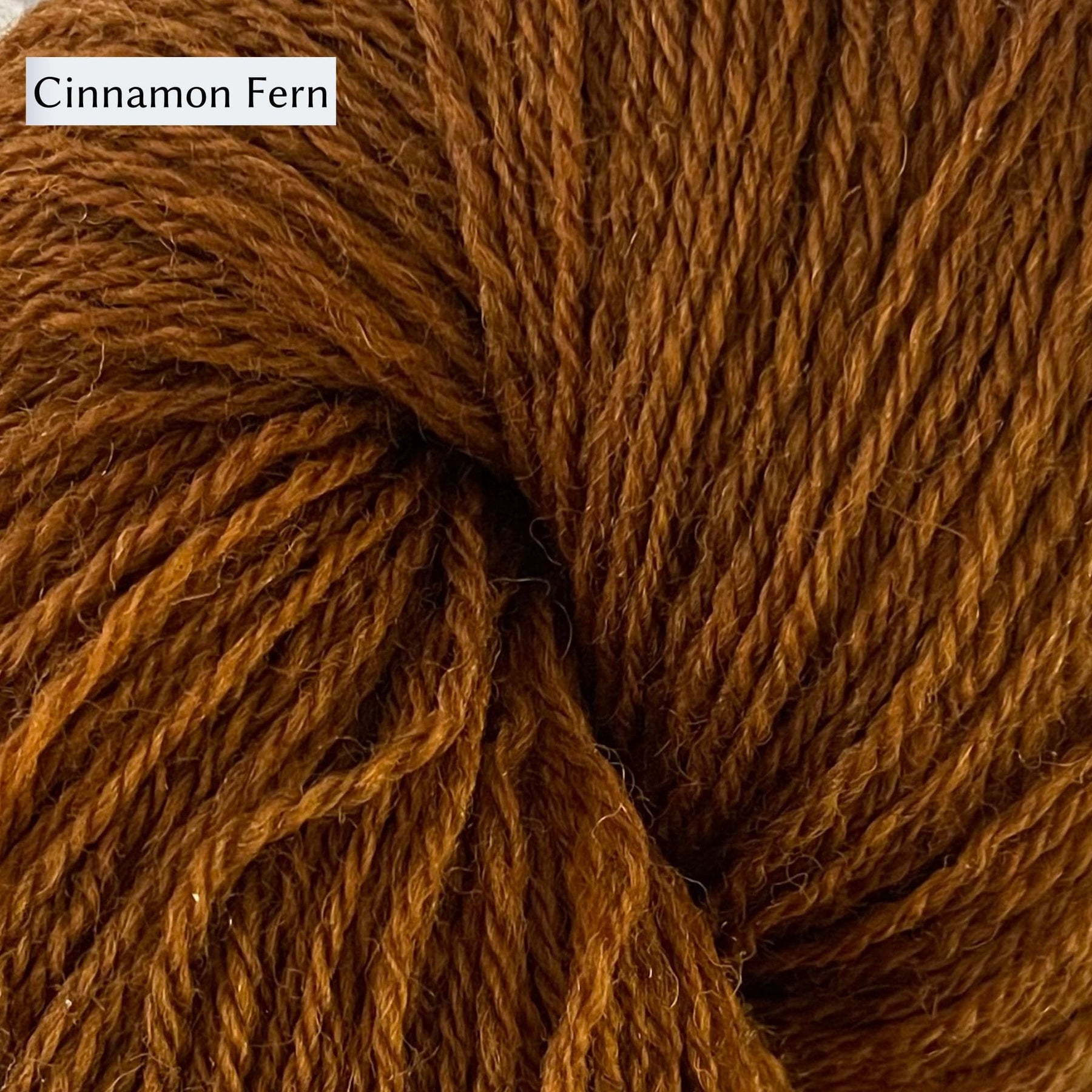 Rambler Yarn by The Woolly Thistle